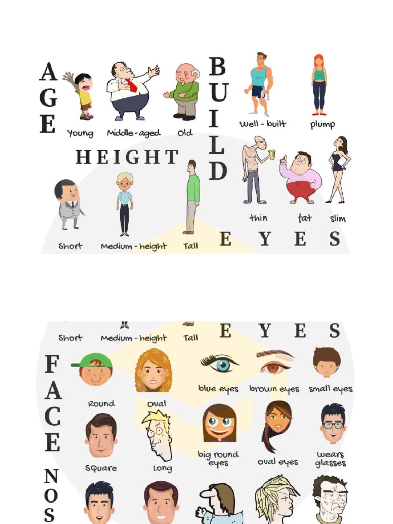 Physical Appearance Vocabulary | PDF