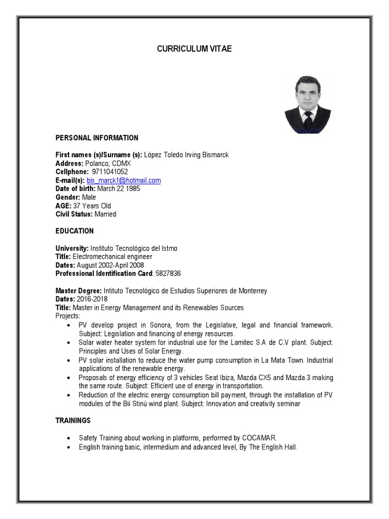 CV Irving B English | PDF | Wind Power | Wind Farm