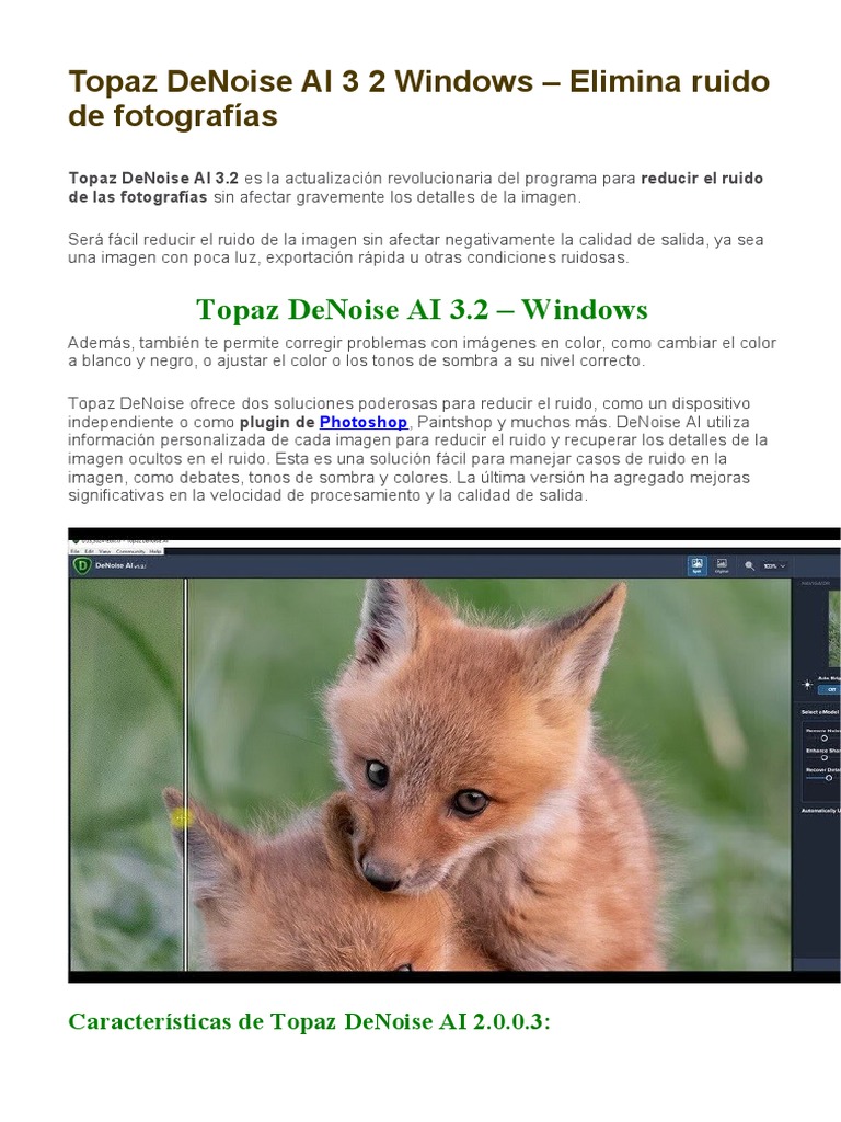 Topaz DeNoise | PDF