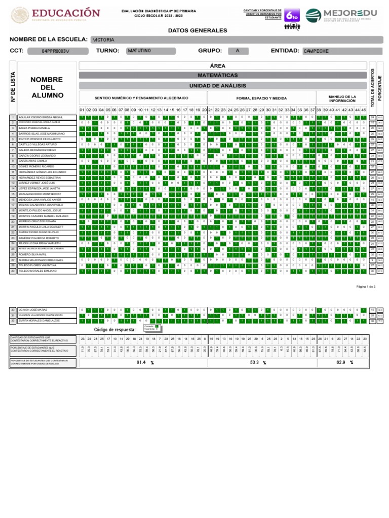04PPR0003V.1Informe Alumnos Mat6°grado - Grupo (A) .1aplic | PDF