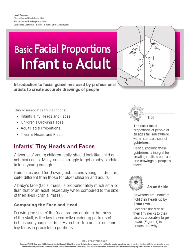 Basic Facial Proportions Infant To Adult | PDF | Face | Skull