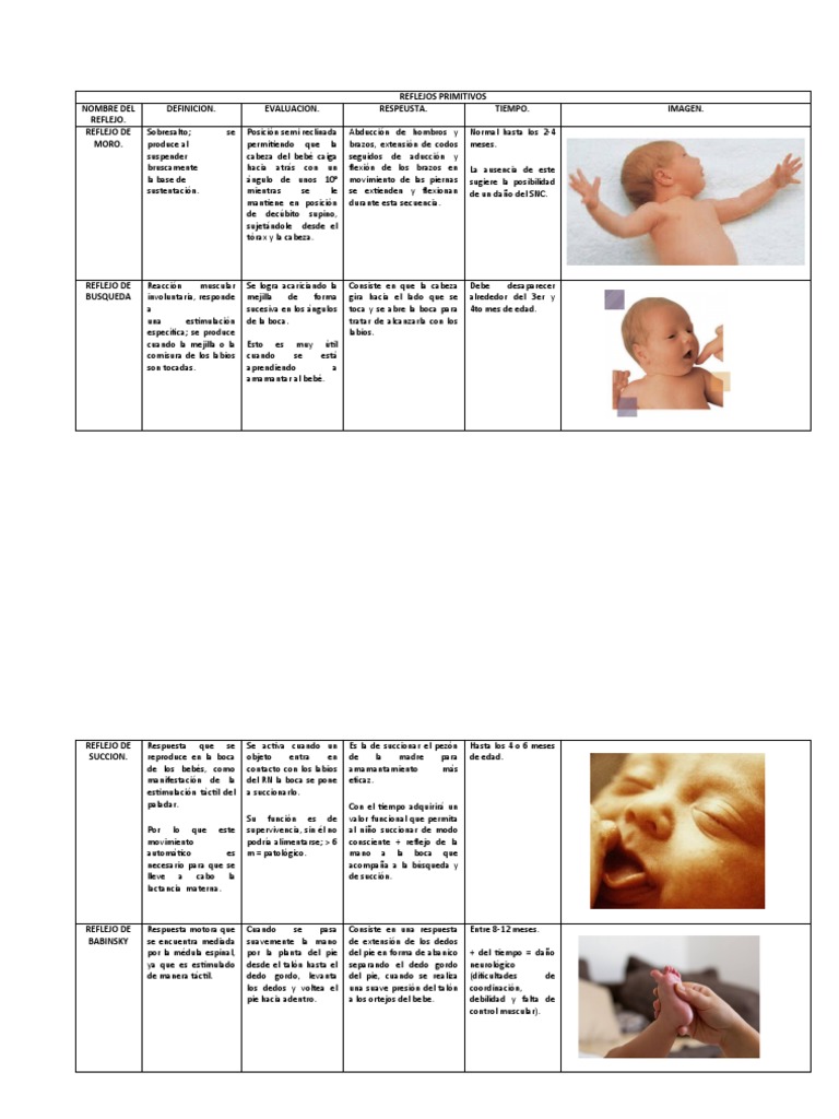 Reflejos Primitivos | PDF | Anatomía humana | Anatomía