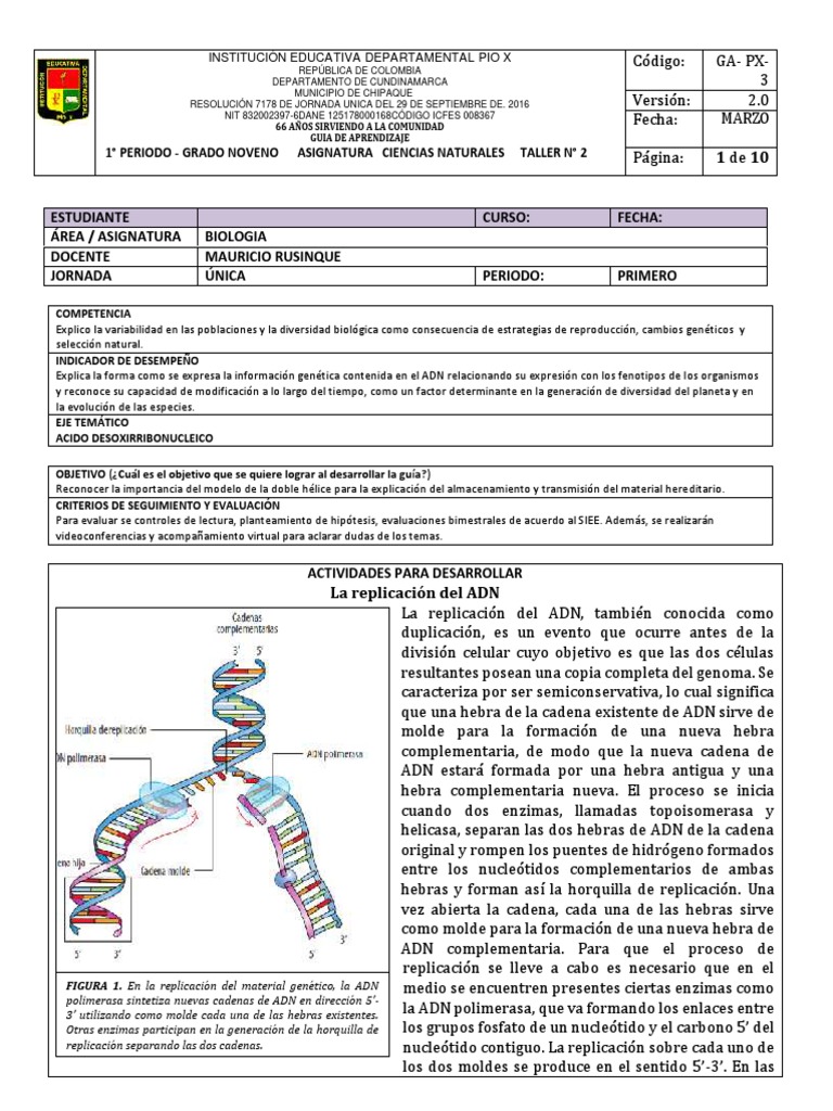 Taller 2 Noveno | PDF | Rna | Adn