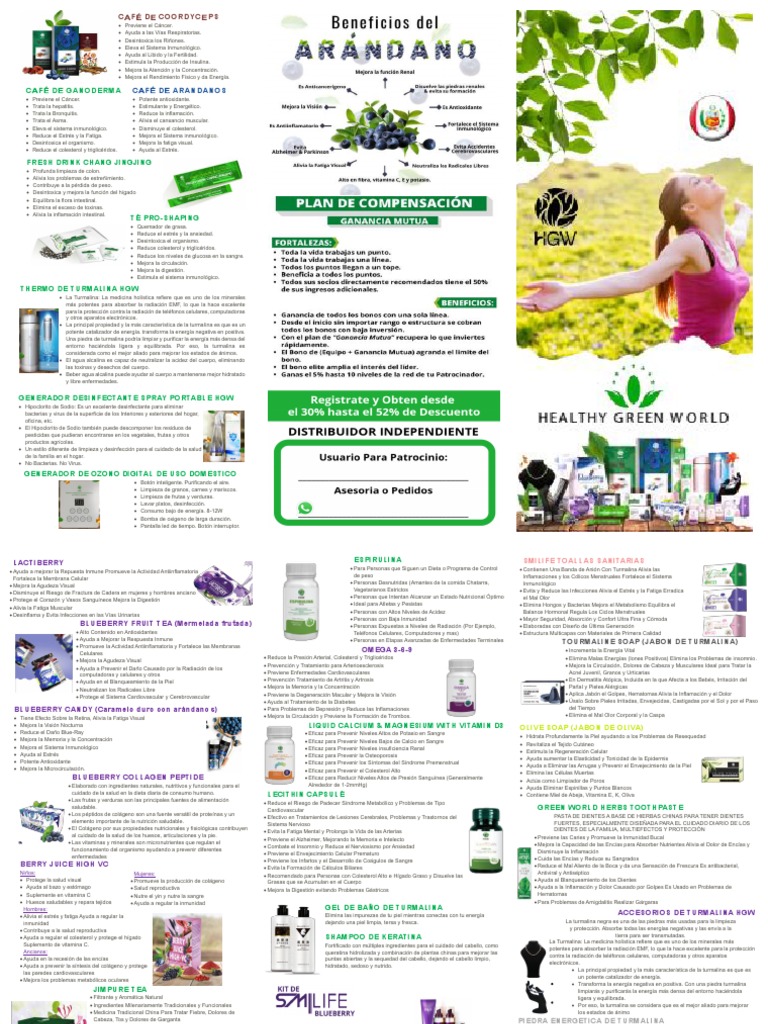 TRIPTICO HGW PERU Modificado | PDF | Nutrición | Dieta y nutrición