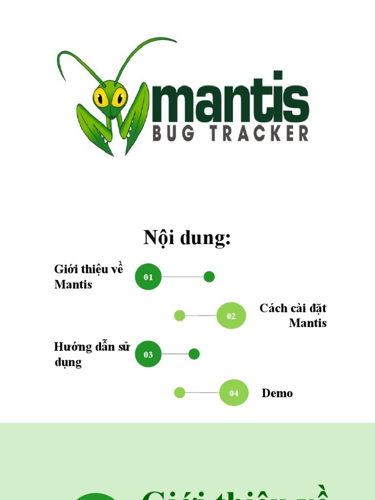 MANTIS | PDF
