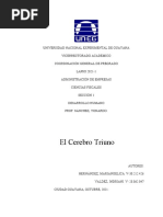 1 - La Teoría Del Cerebro Triuno - Paul Maclean | PDF | Neocortex | Cerebro