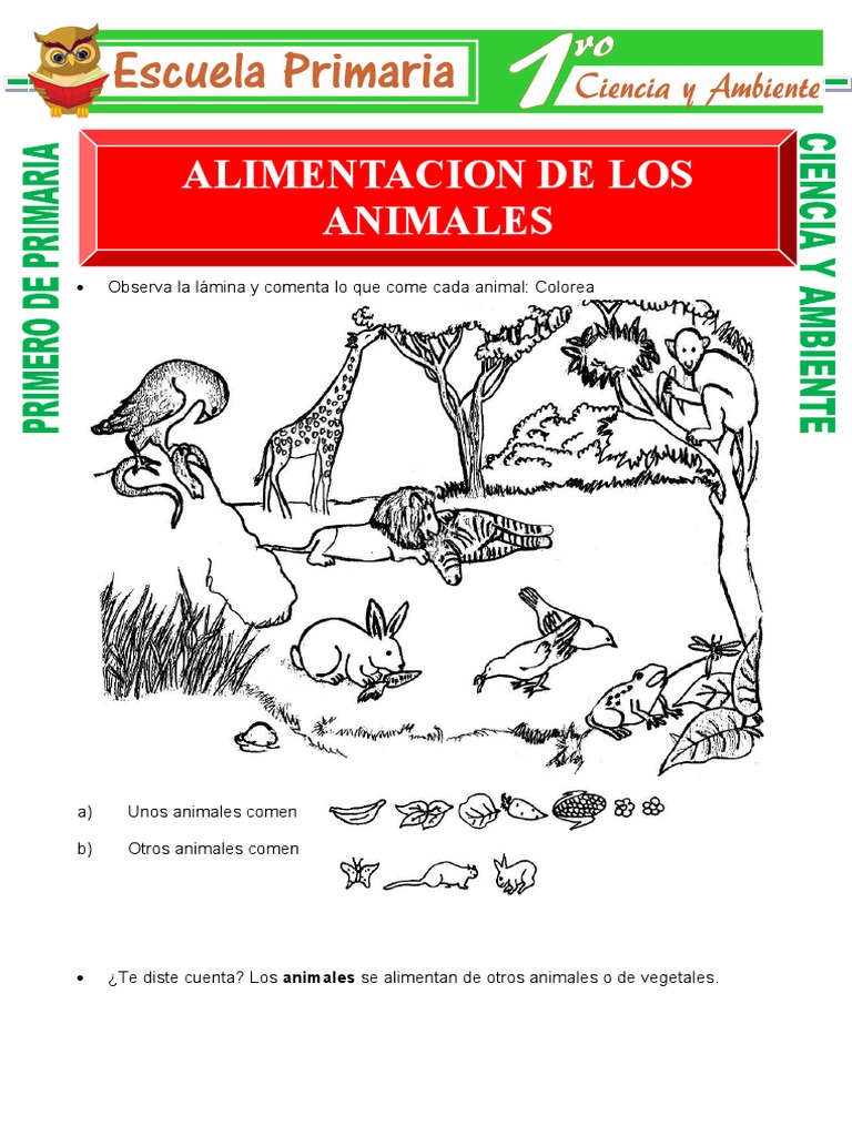 Alimentacion de Los Animales para Primero de Primaria | PDF | Organismos