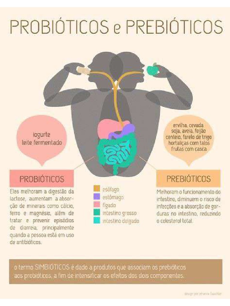 Probióticos X Probióticos | PDF