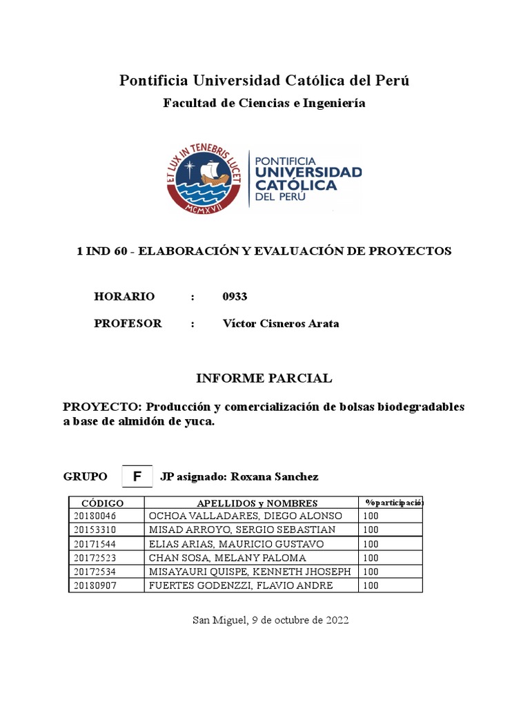 Informe Parcial | PDF