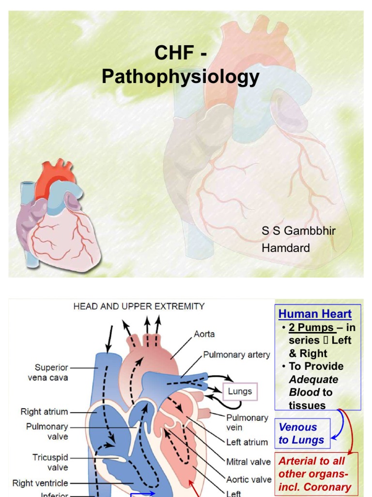 CHF-Pathophysiology