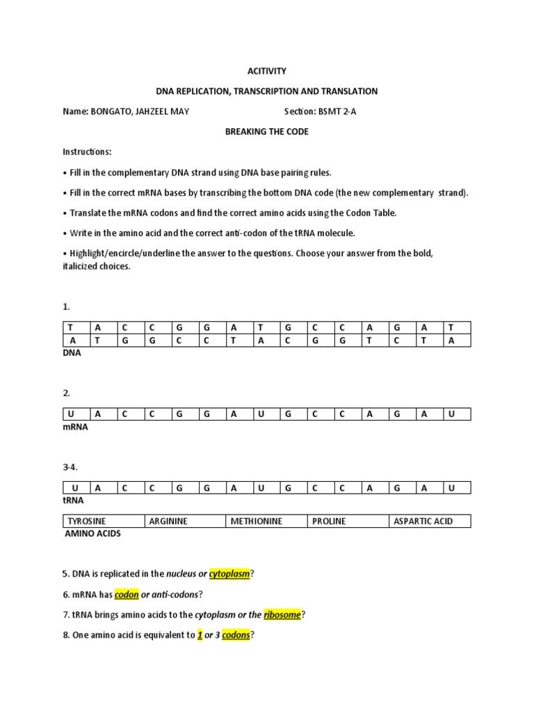 DNA & RNA Practice Worksheet | PDF | Translation (Biology) | Genetic Code