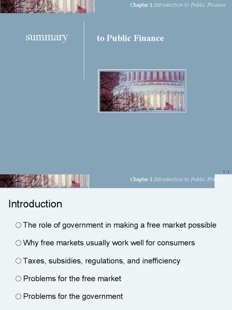 Summary Public Finance | PDF | Taxes | Externality