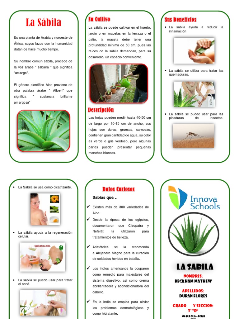 Triptico Sabila Beckham | PDF