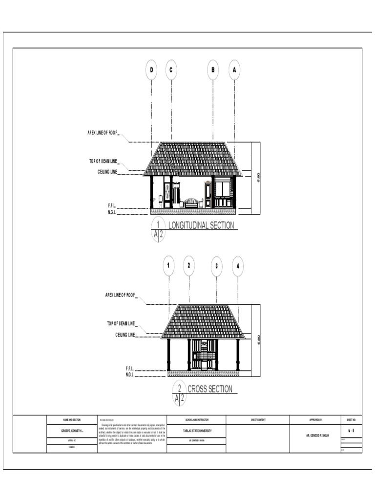 Longitudinal and cross sections | PDF