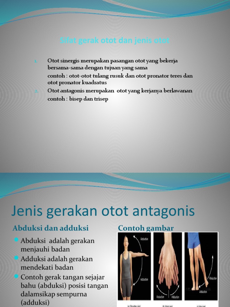 Jenis dan Gangguan Otot Manusia | PDF | Pengembangan Diri