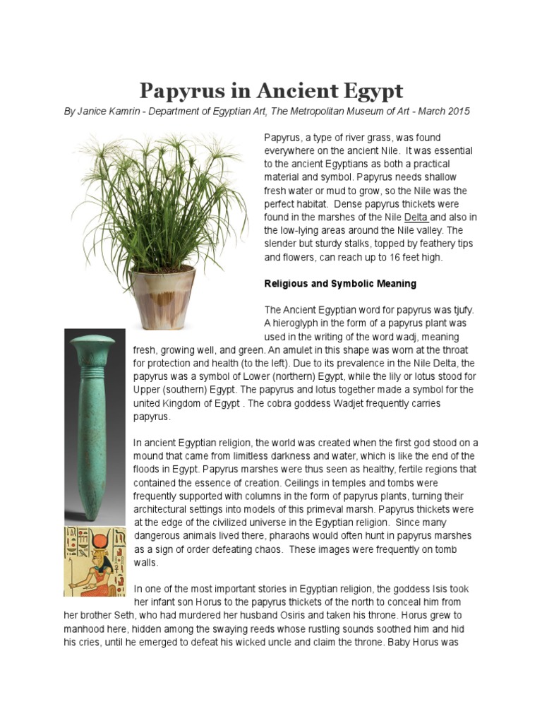 Ancient Egypt V - Papyrus | PDF | Papyrus | Ancient Egypt