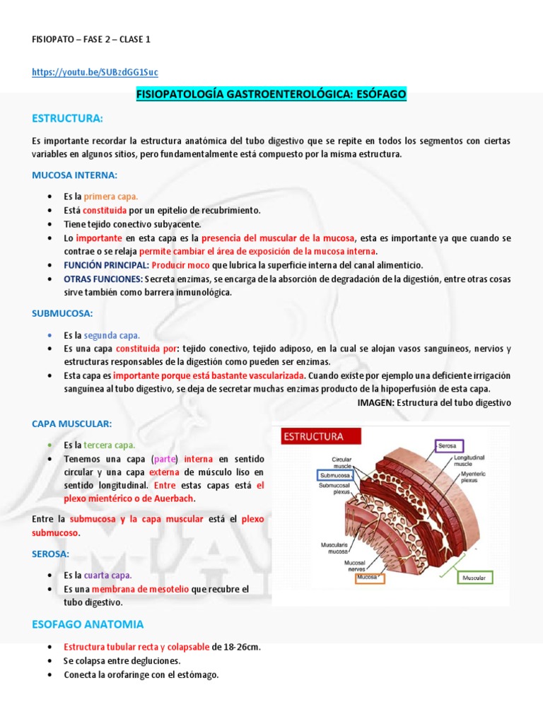 Gastroenterologíca - Esófago | PDF | La enfermedad por reflujo ...