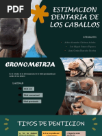 Fórmulas Dentarias | PDF | Diente | Ramas de Odontología