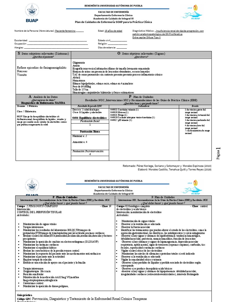 Formato Soap Cuidado Integral - Renal | PDF | Enfermedad renal crónica ...