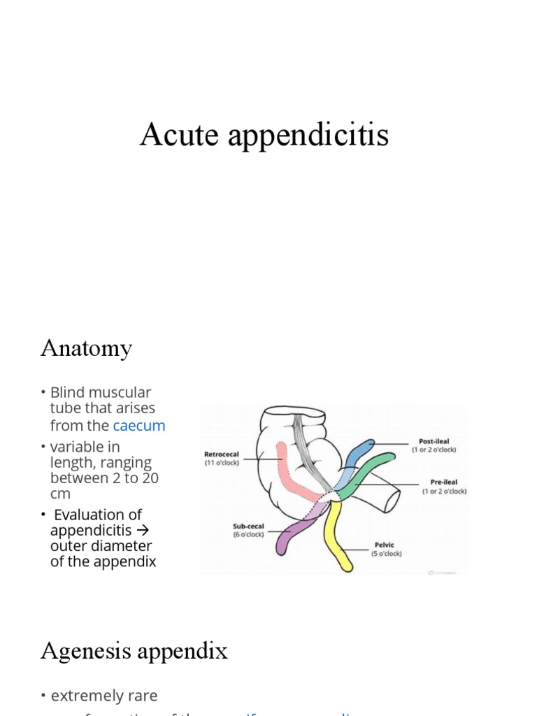 Pathology of Appendix | PDF | Medical Specialties | Diseases And Disorders