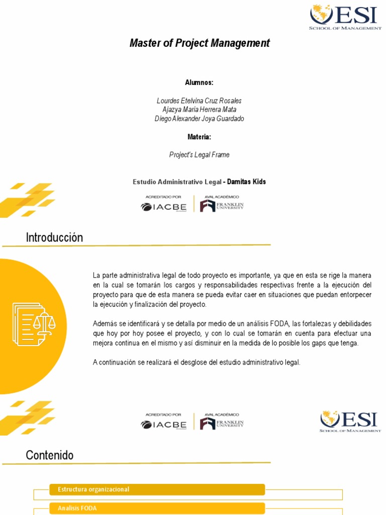 Estudio Administrativo Legal Damitas Kids Final | PDF | Marketing ...