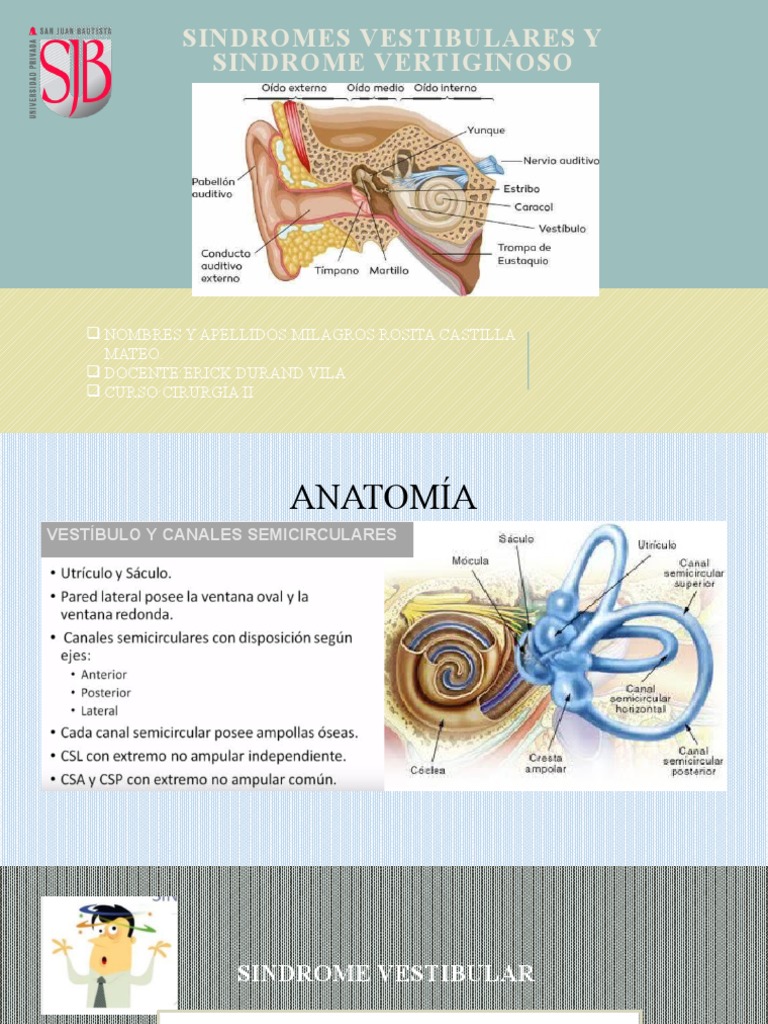 SX Vestibular y Vertiginoso | PDF | Vértigo | Medicina CLINICA