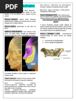 Suturas Do Crânio Resumo | PDF | Anatomia | Anatomia humana