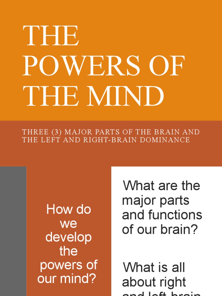 Understanding Brain Dominance | PDF | Brain | Cerebrum