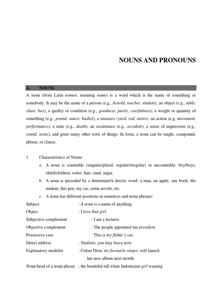 Nouns and Pronouns Guide | PDF | Pronoun | Grammatical Number