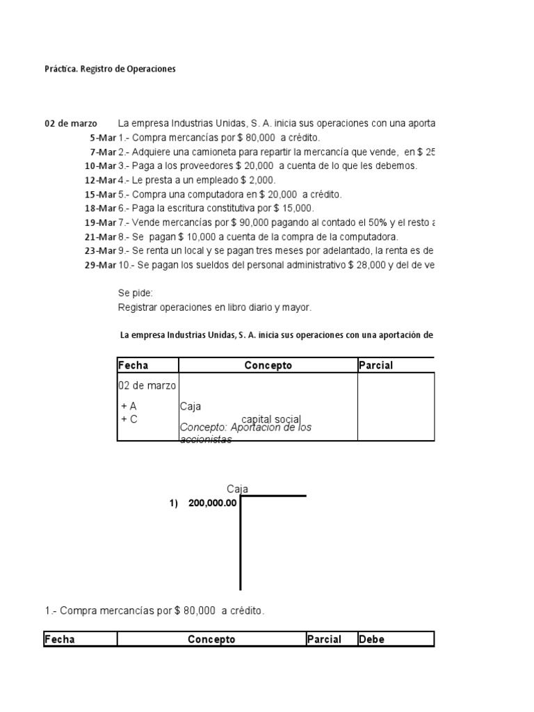 Registro de Operaciones Contables S.A. | PDF | Business | Economias