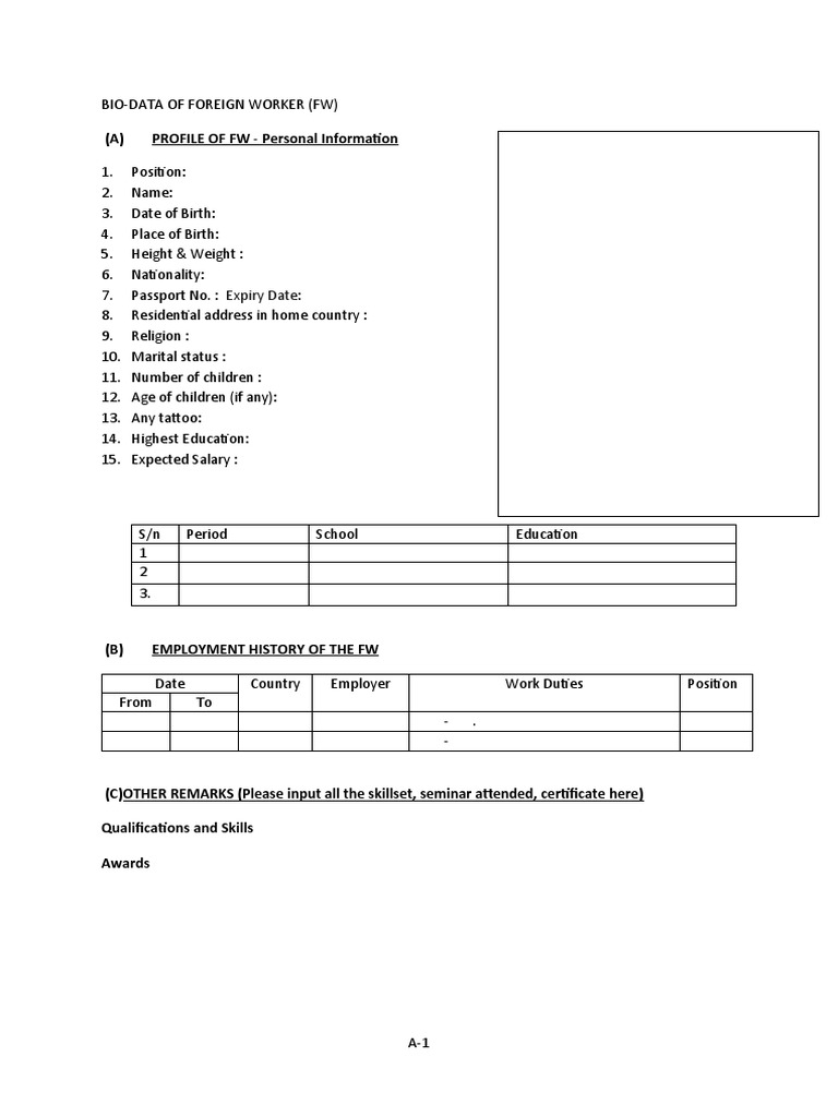 CV Form | PDF
