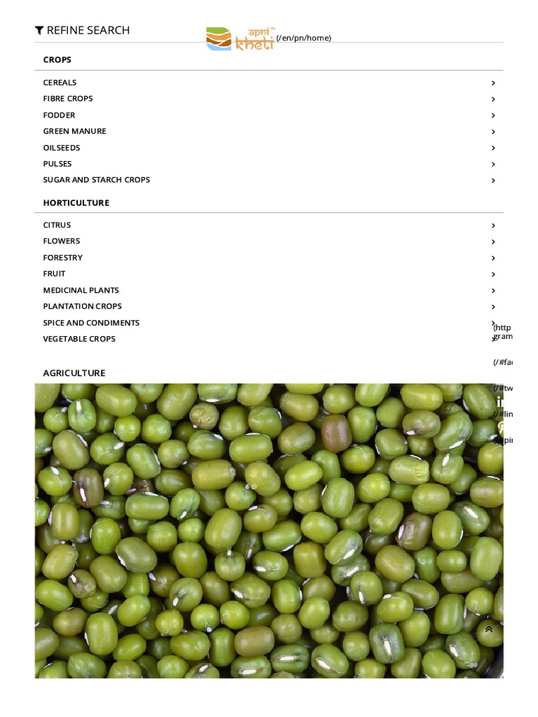 Green Gram Cultivation Guide | PDF | Legume | Sowing