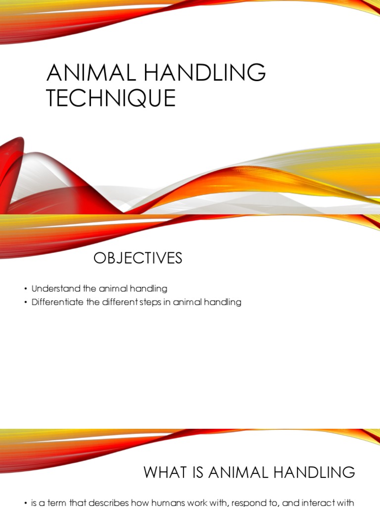 Week 8 Animal Handling Techniques | PDF | Injection (Medicine) | Anesthesia Week 8 Animal Handling Techniques | PDF | Injection (Medicine) | Anesthesia