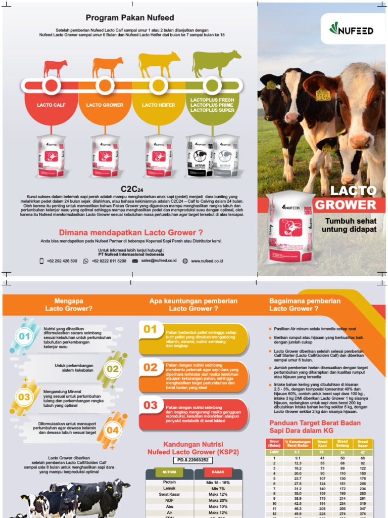 Nutrisi Optimal untuk Sapi Dara | PDF