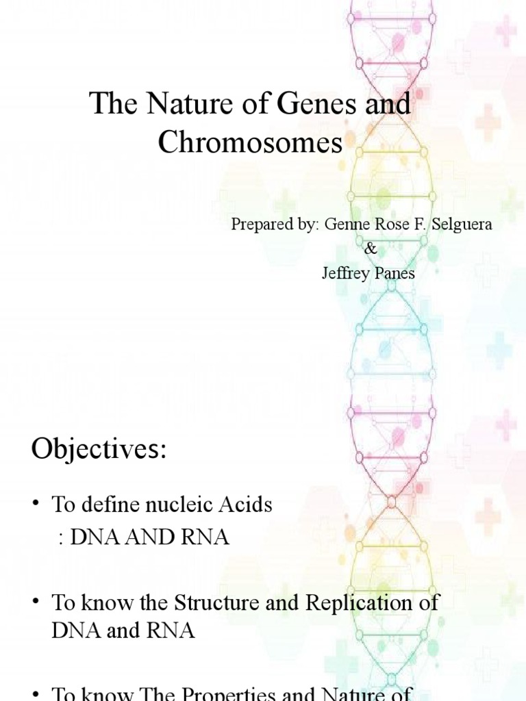 The Nature of Genes and Chromosomes: A Comprehensive Overview of ...