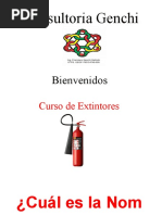 Cuando Lleva Collarin y Holograma El Extintor | PDF