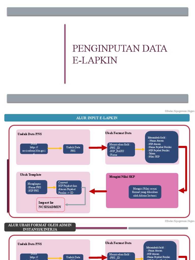 Penginputan Data E-Lapkin | PDF