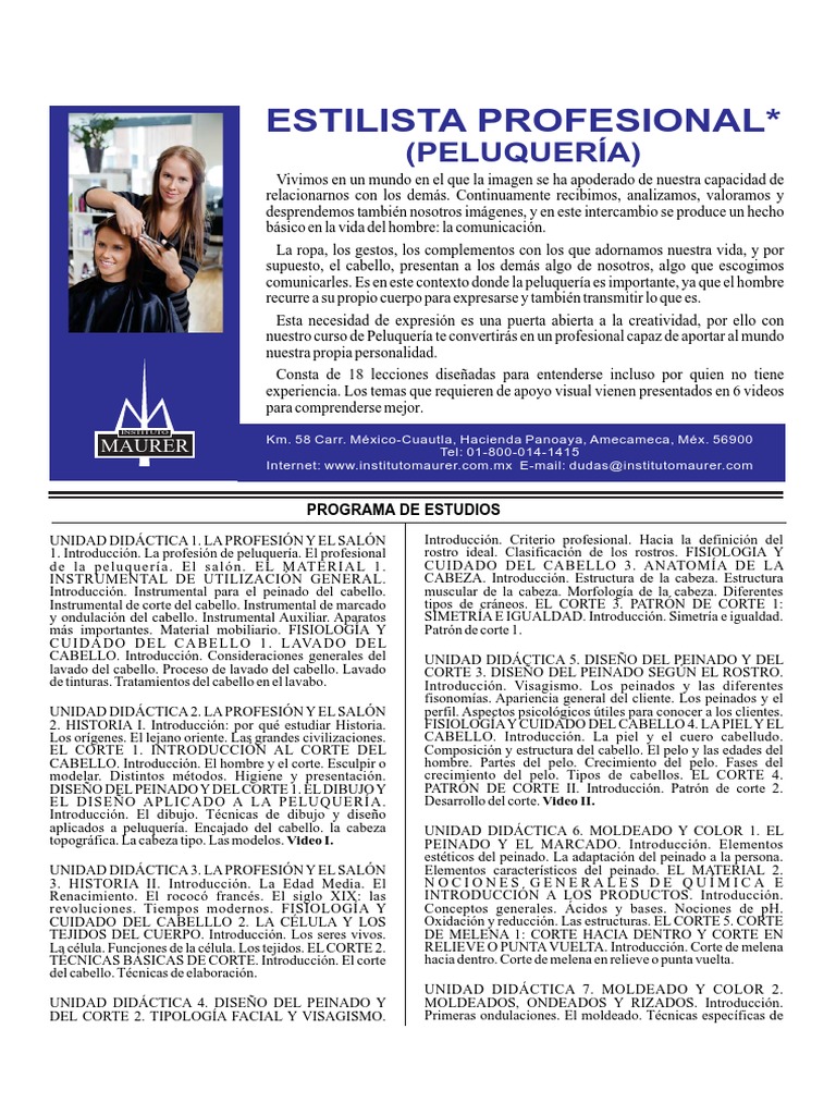 Estilista Profesional | PDF | Pelo | Diseño