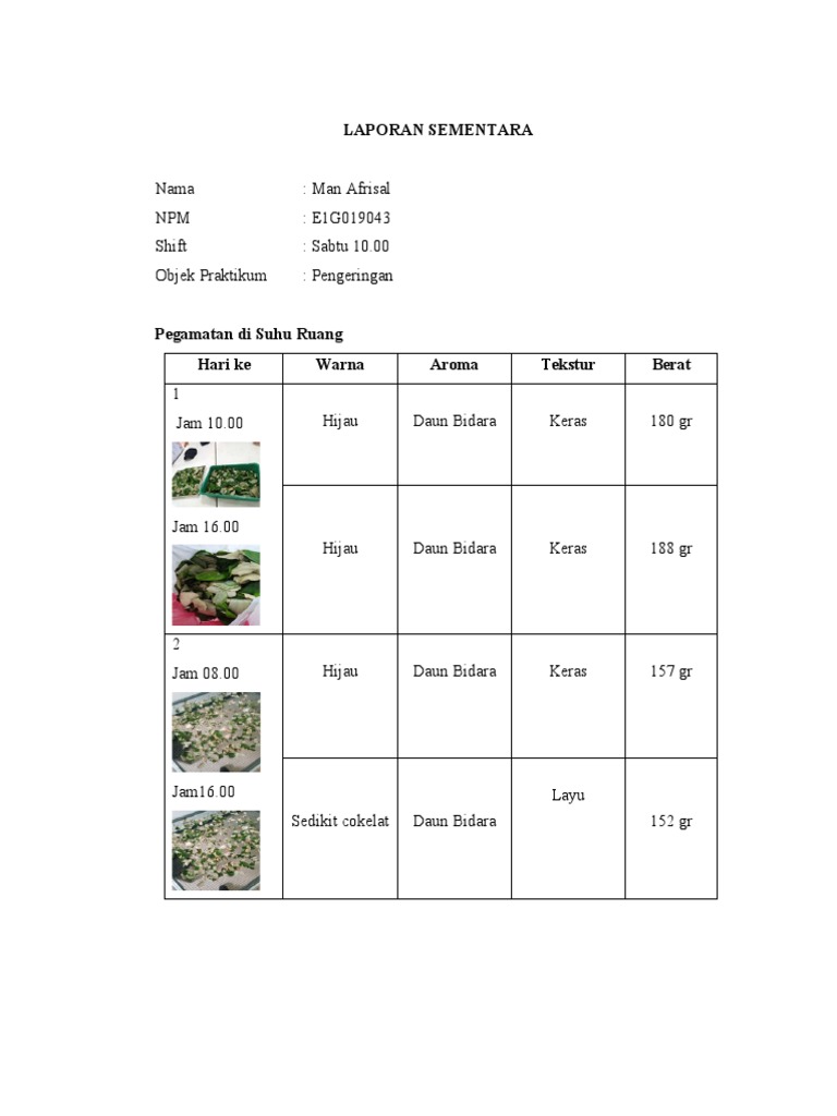 Lapsem Biomassa 1 | PDF