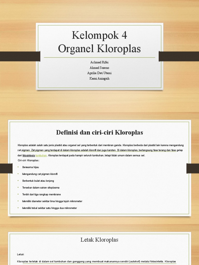 Kel4 Kloroplas | PDF