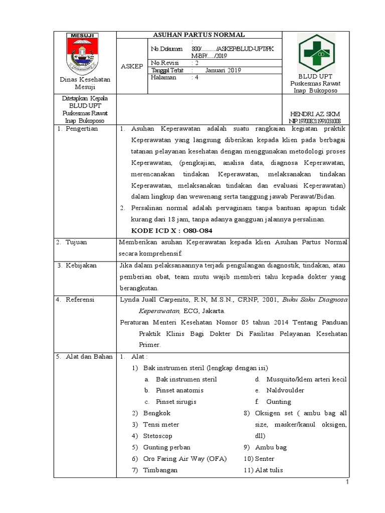 ASUHAN KEPERAWATAN 8 Partus Normal | PDF