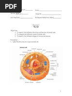 SHS STEM Bio1 Q1 Week 3 Module 5 - Cell Modification | PDF | Small ...