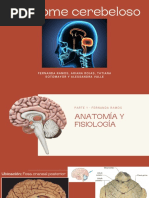 Sindromes Cerebelosos Vermiano Hemisferios Cerebelosos y Pancerebelosos ...