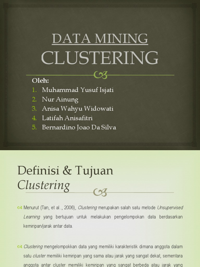 Data Mining Clustering | PDF