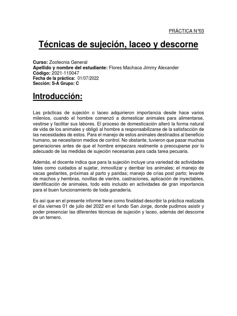 Informe 3 | PDF