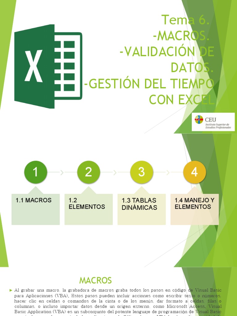 Macros y Validación de Datos Excel | PDF | Macro (informática) | Visual Basic para Aplicaciones