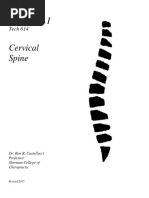 Textbook of Clinical Chiropractic A Specific Biomechanical Approach | PDF