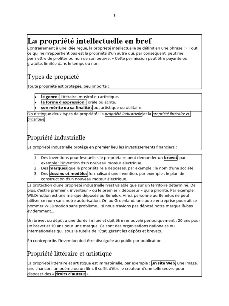 Propriété Intellectuelle | PDF