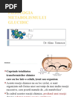 Nanism Hipofizar Si Tiroidian | PDF