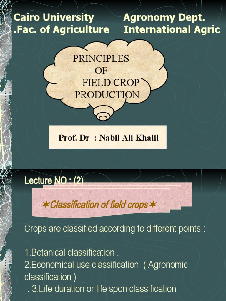 Lecture No. 2 Classification of Field Crops | PDF | Legume | Cereals